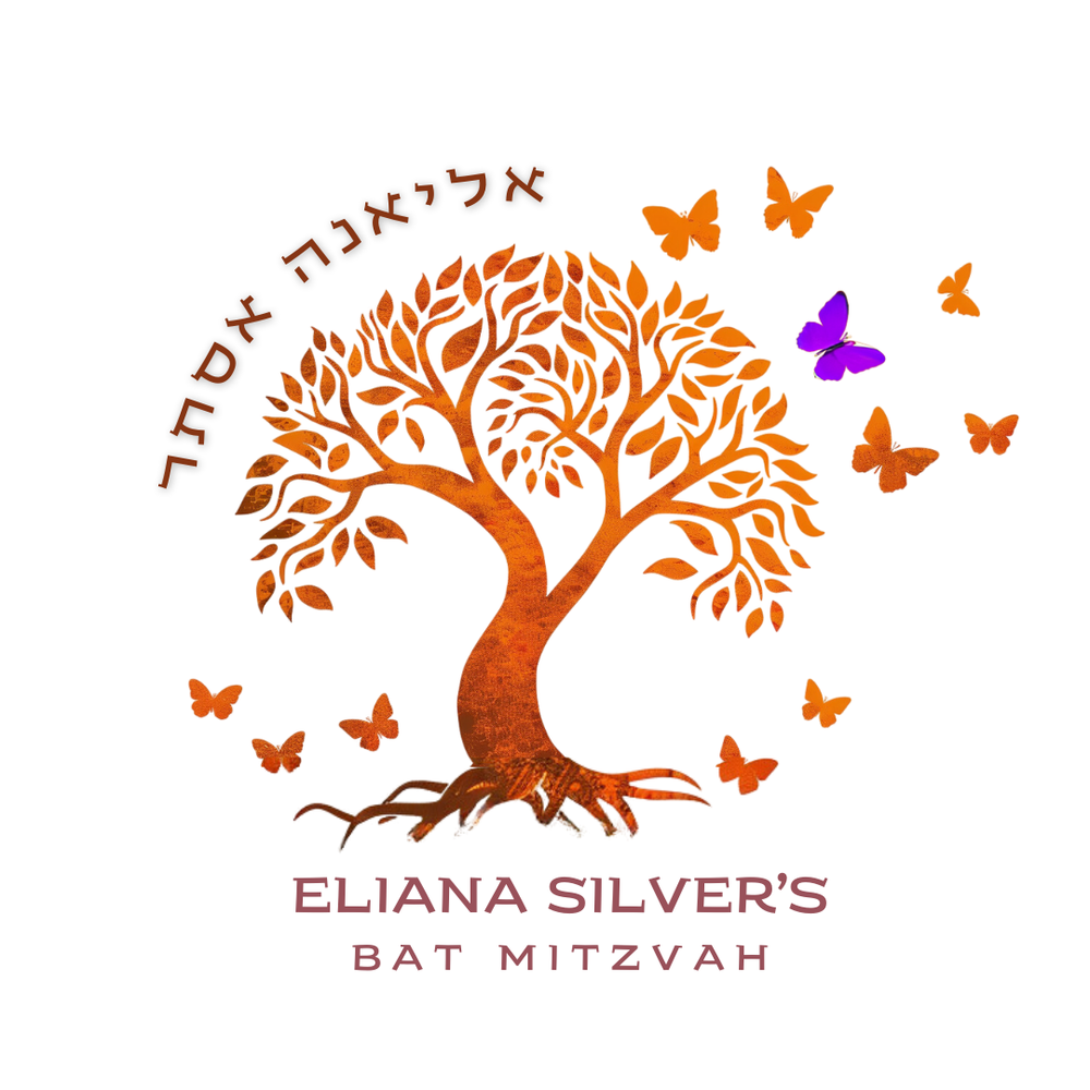 Bar & Bar Mitzvah Logos & Hoodies - Jewish Swag Store – Jewish Swag Shop
